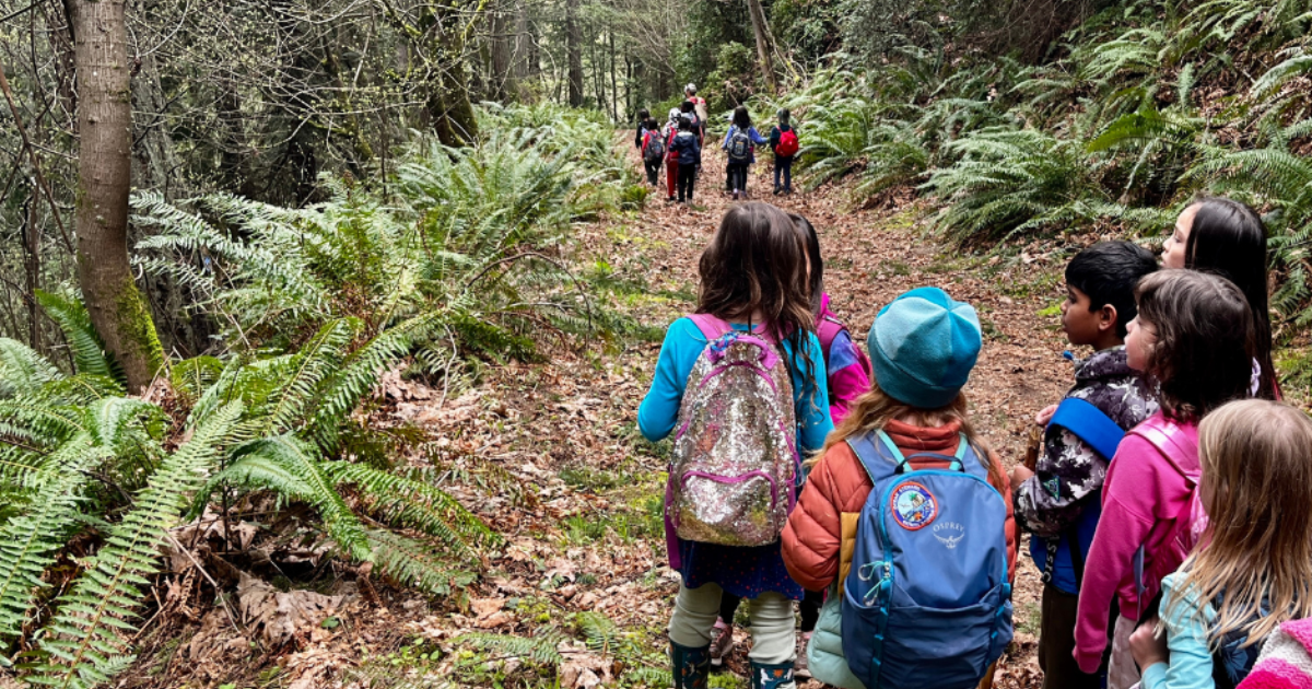 Three Tree Montessori School | Exploring the Outdoors with Your Child
